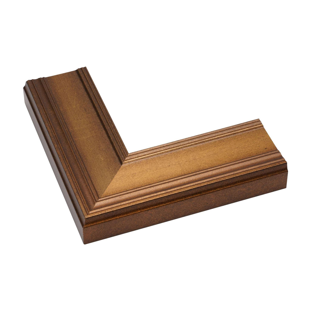 Contemporary Gold Custom Frames | Florida Frames